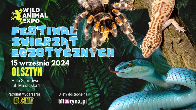 Kalendarz wydarzeń terrarystycznych 2024 r. - Terrarium.com.pl
