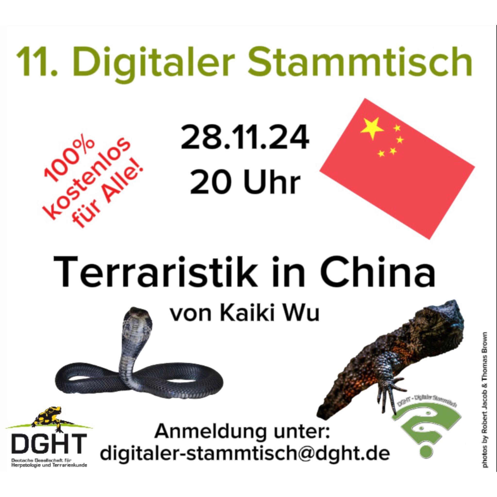 Plakat – 2024-11-28 – DGHT Webinar – Terrarium